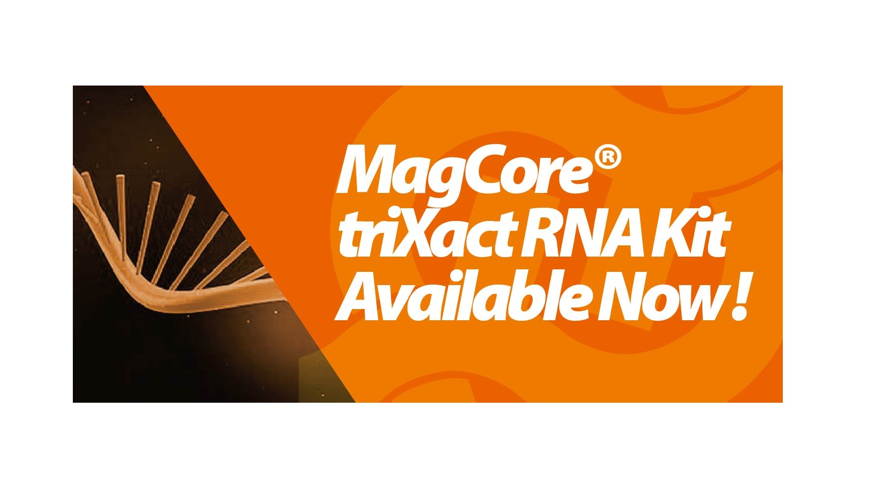 MagCore triXact RNA Kit is Now Available! - RBC Bioscience